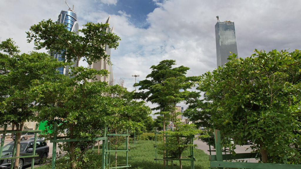 Green Riyadh Program - Royal Commission for Riyadh City