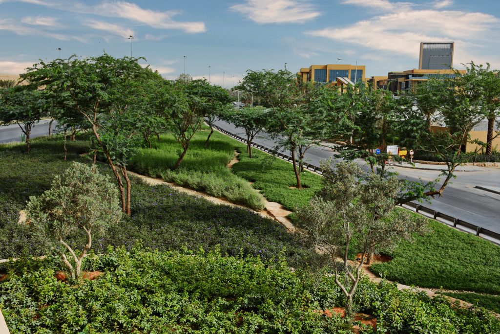 Green Riyadh Program - Royal Commission for Riyadh City