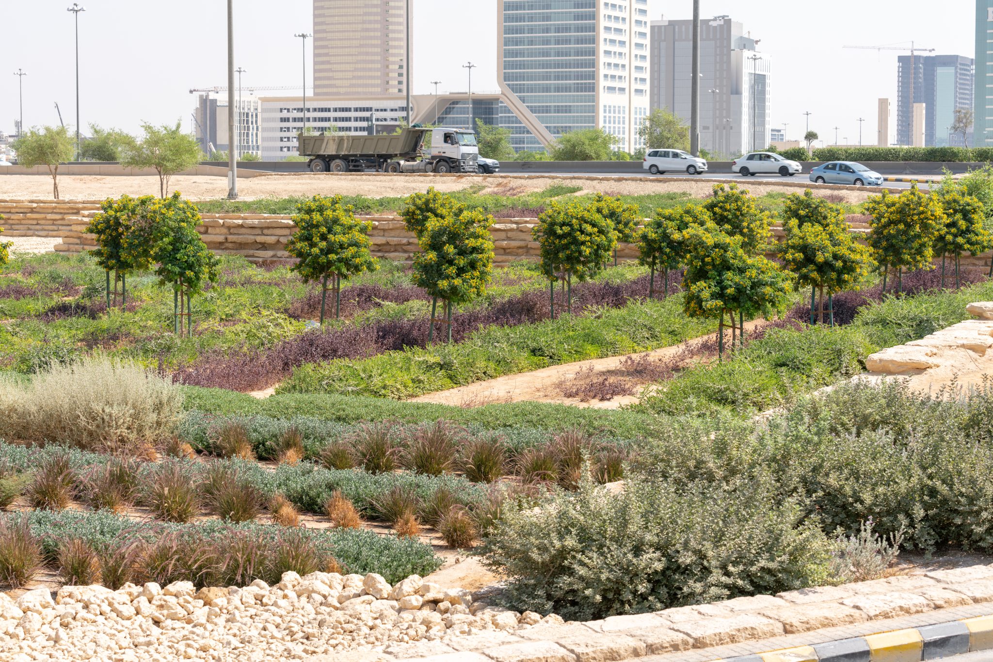Green Riyadh Program - Royal Commission for Riyadh City