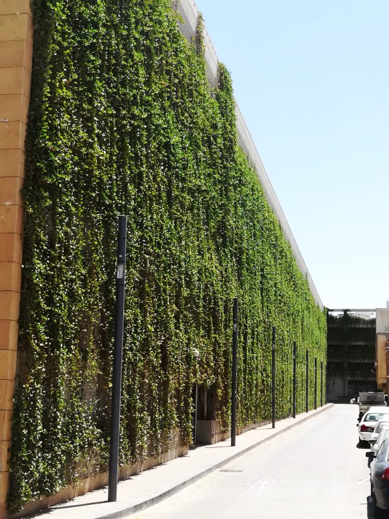 Green Riyadh Program - Royal Commission for Riyadh City