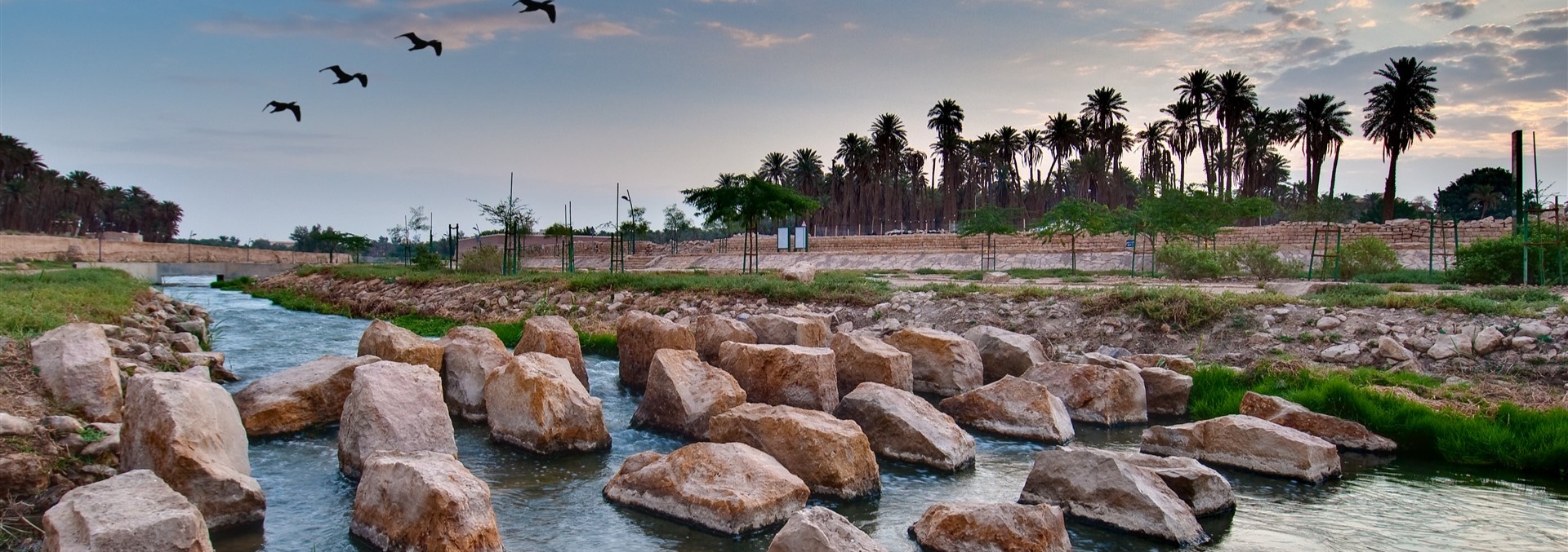 Environmental Rehabilitation Program for Wadi Hanifa - Royal Commission ...