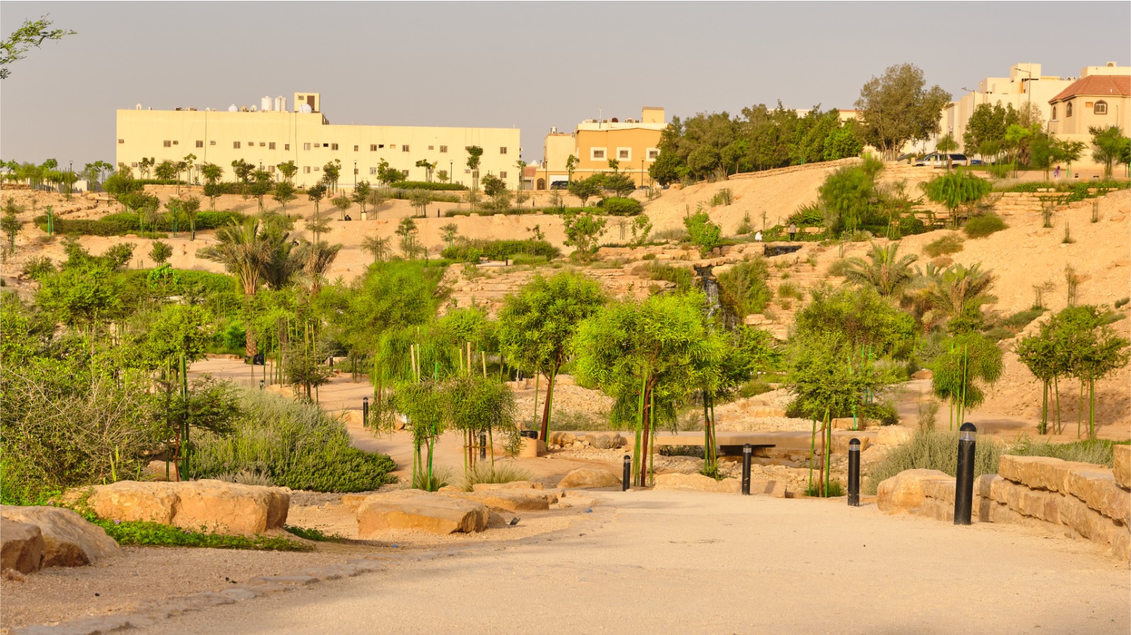 Green Riyadh Program Unveils the Opening of Ghudhwana: A Transformed Tributary of Wadi Hanifa ...