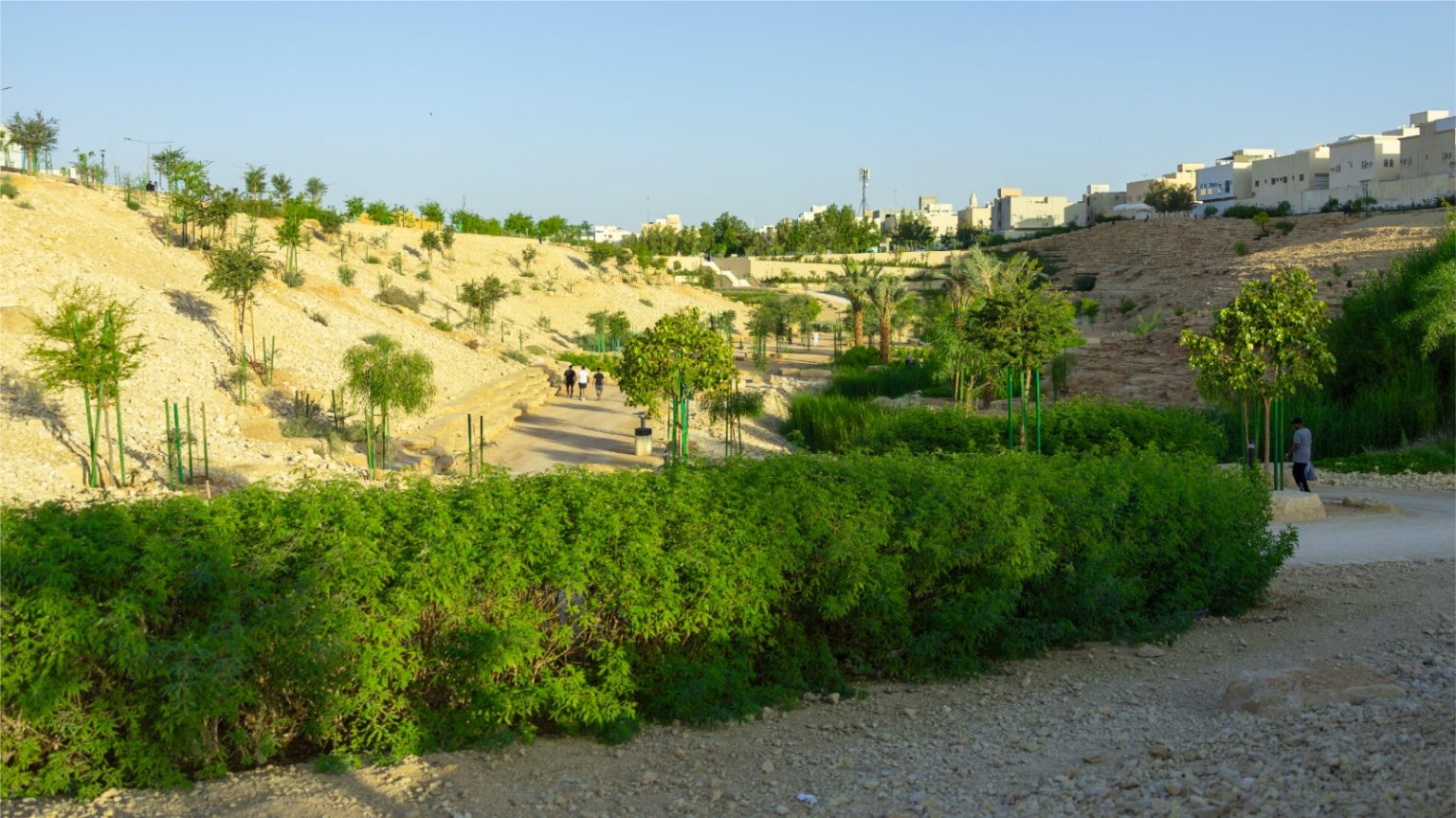 Green Riyadh Program Unveils the Opening of Ghudhwana: A Transformed ...