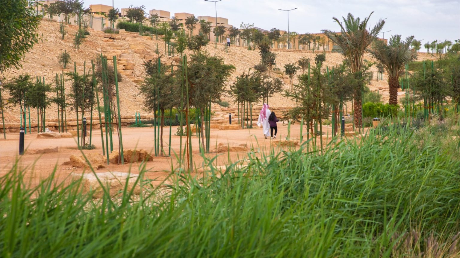 Green Riyadh Program Unveils the Opening of Ghudhwana: A Transformed ...