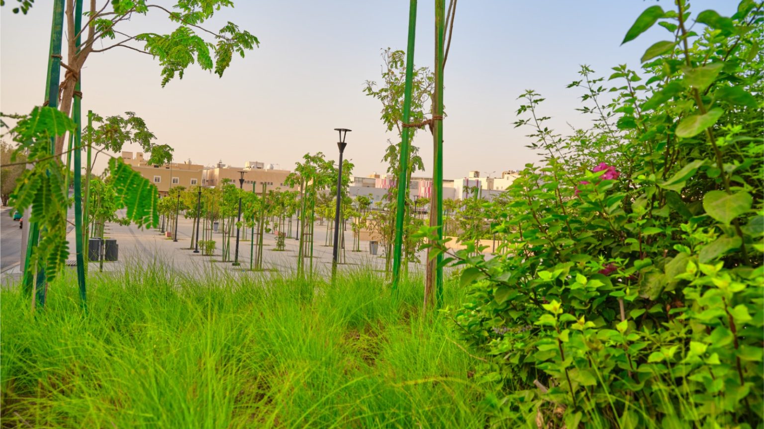 Green Riyadh Program Unveils the Opening of Ghudhwana: A Transformed ...