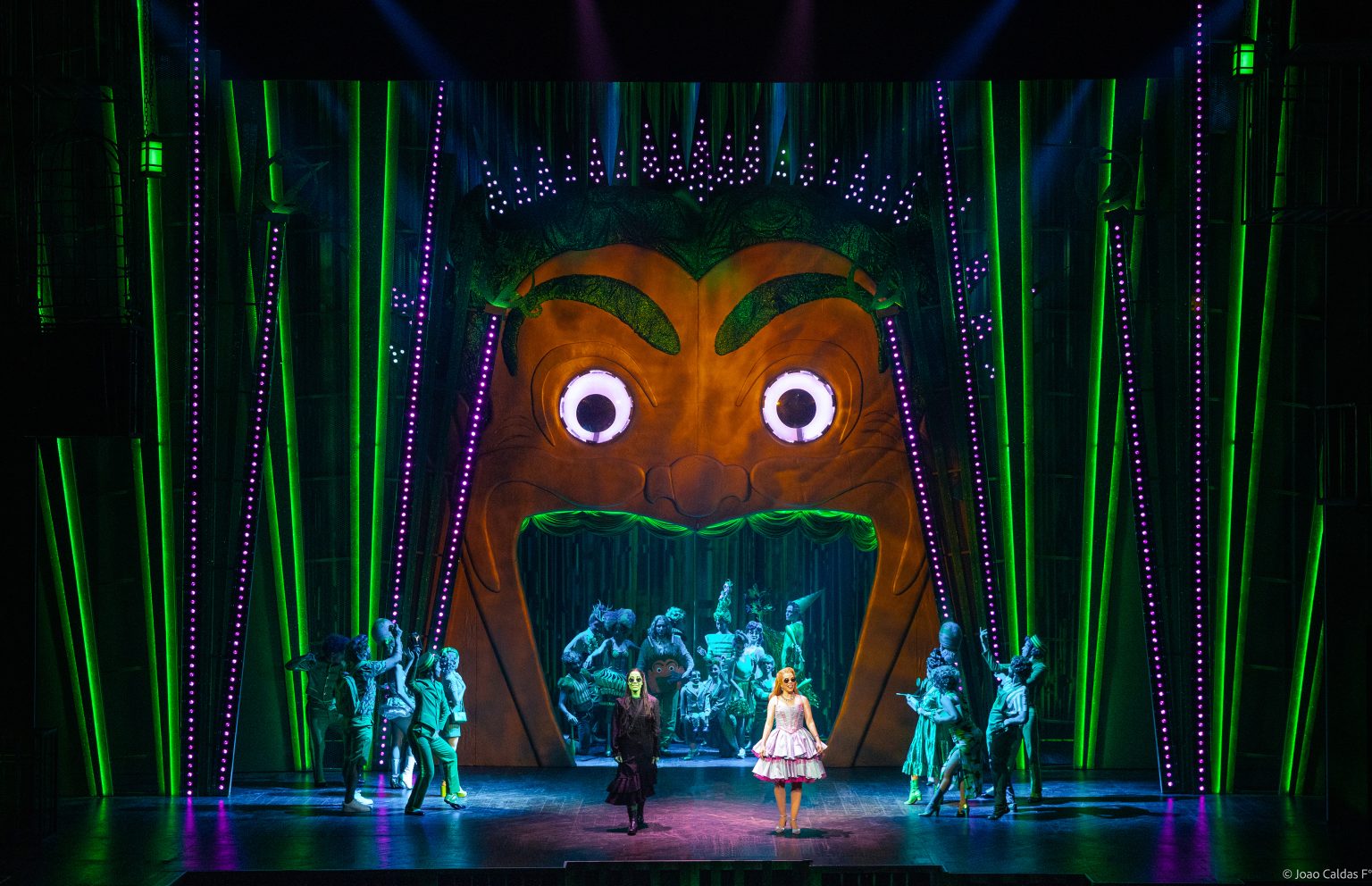 RCRC announces Middle East premiere of global musical phenomenon WICKED ...